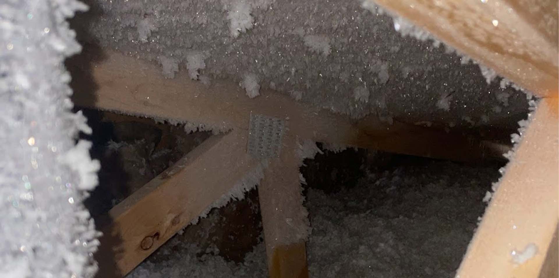 Attic Rain in Calgary: Top 8 Questions Answered